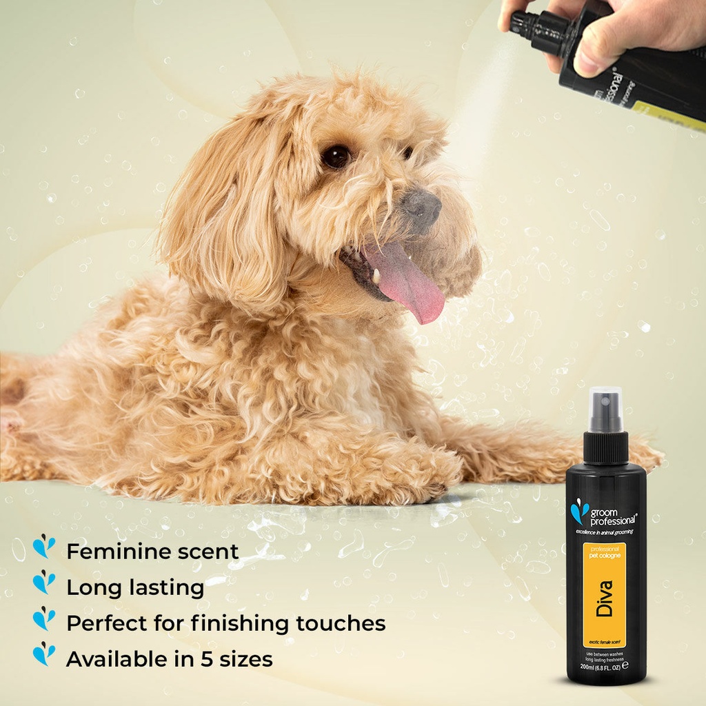 Groom Professional Diva Cologne (Perfume)[Volume - 200 ml, Flavor ...